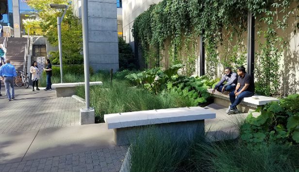 Small Urban Parks